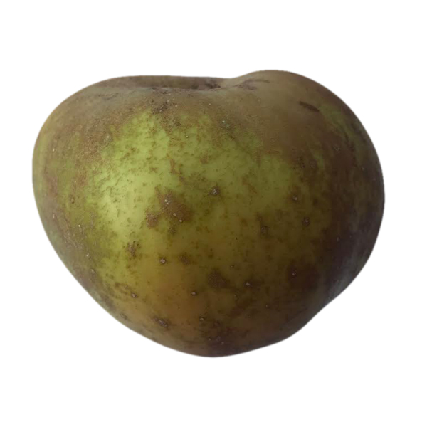 Prodotti